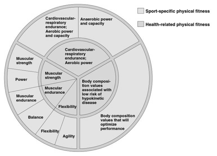 Blog - Answering questions & providing information about canine rehab ...